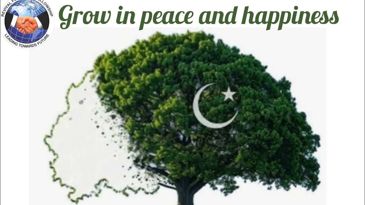 Grow in peace and happiness - YouTube