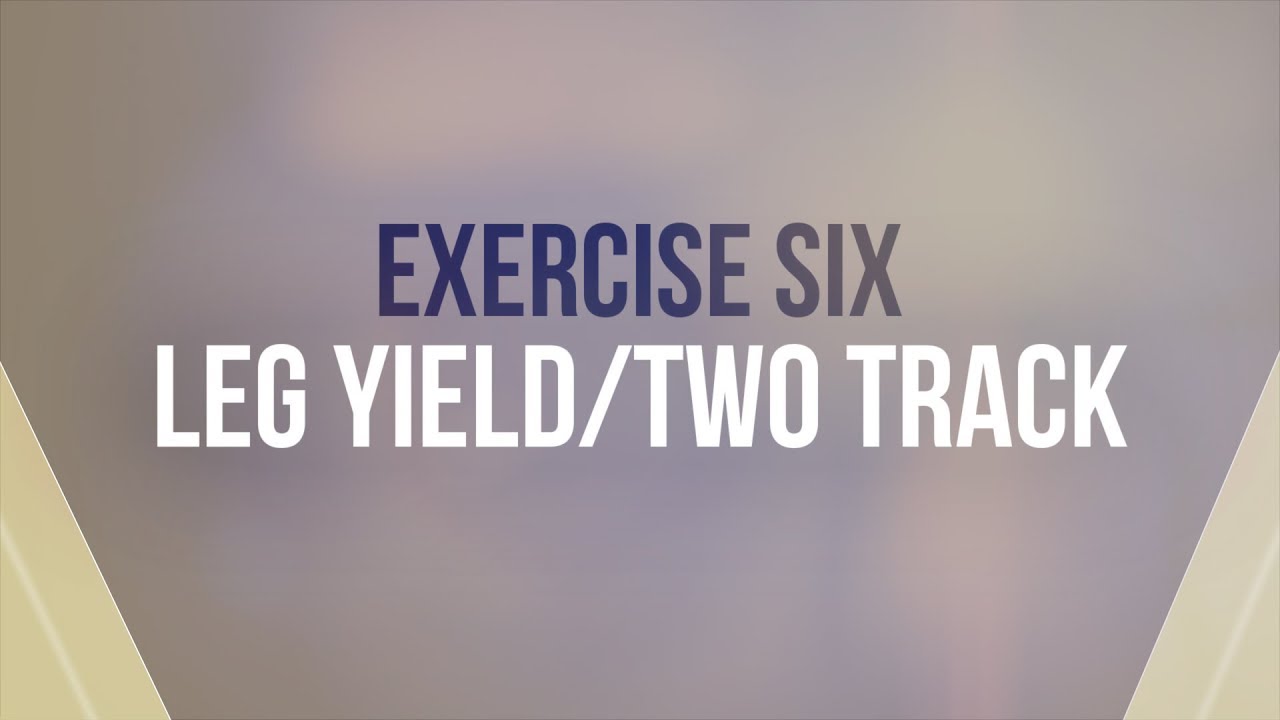Leg Yield/Two Track | The Fundamentals To A Better Horse Vol. 1 | Dana ...