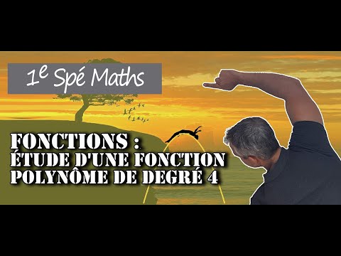 Etude d'une fonction polynôme de degré 4 - YouTube