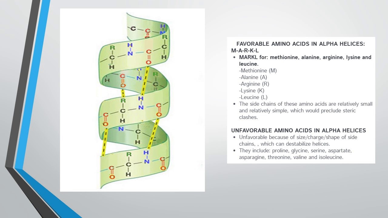 Lecture 47 Protien Structure Prediction Algorithm-The Chou Fasman ...