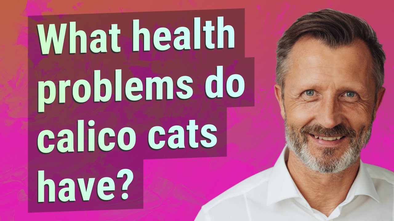 What health problems do calico cats have? - YouTube