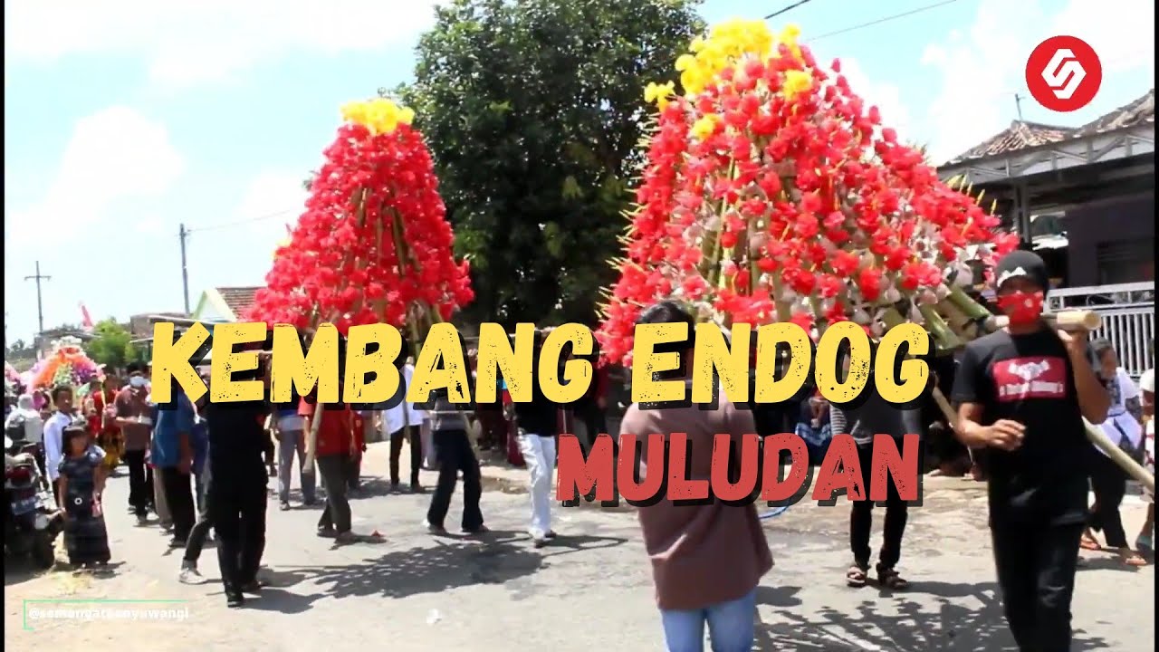 PERINGATAN MAULID NABI / MULUDAN DI BANYUWQNGI DIMERIAHKAN DENGAN ...