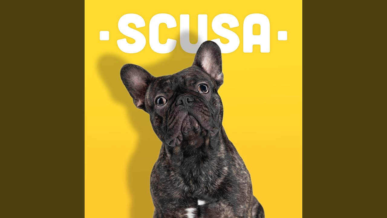 Scusa - YouTube Music