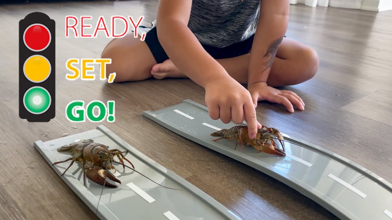 Arlo Racing Crawfish - YouTube