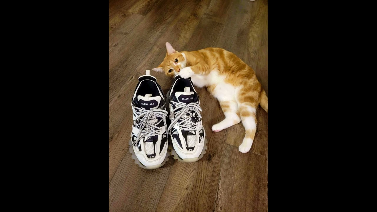 teku + 1oneam + ohsxnta type beat "shoe size on my toe (autumn refrence ...