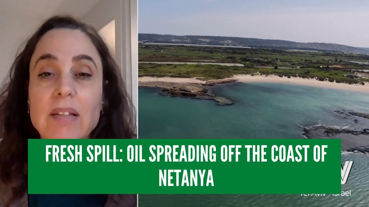 Oil spreading off the coast of Netanya - Maya Jacobs - YouTube