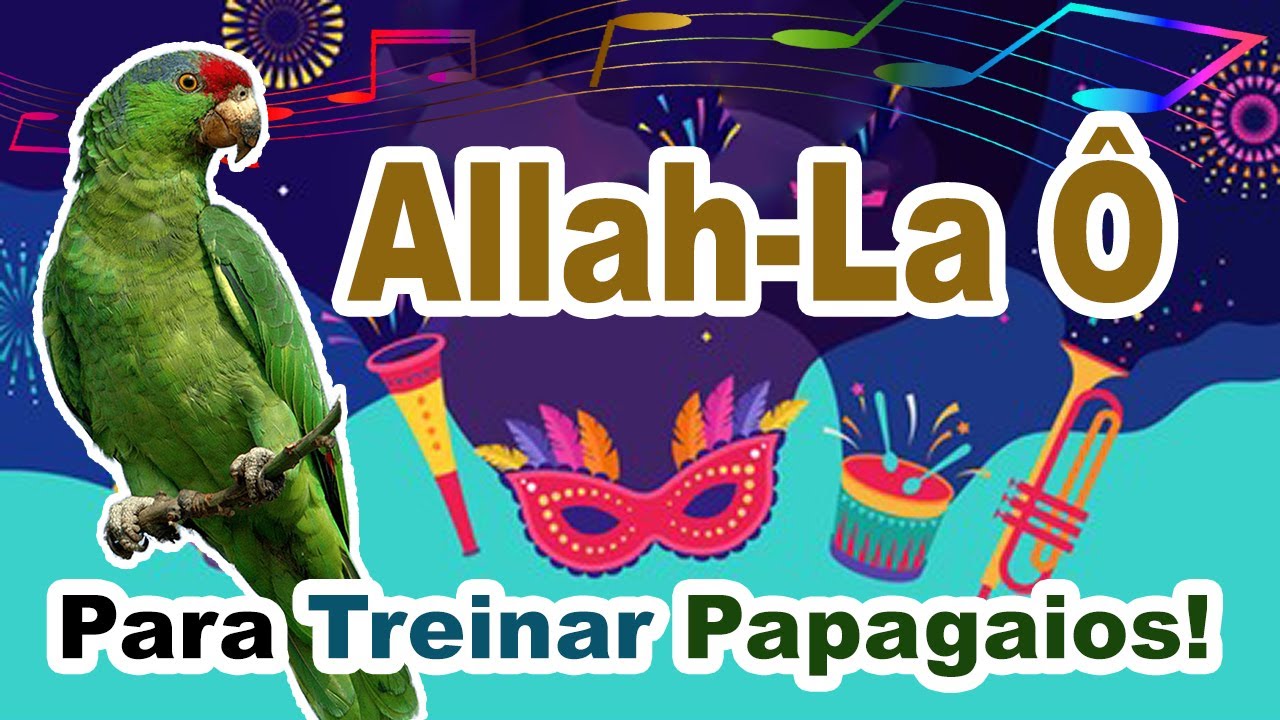 Assobio papagaio - canto Allah-La Ô para treinar papagaio - YouTube