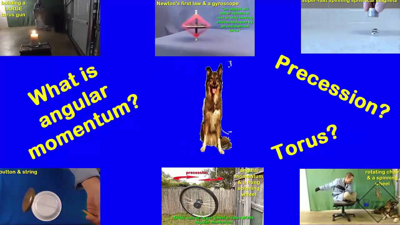 Funny Introduction Angular Momentum A Science With Bobert Video Short Youtube