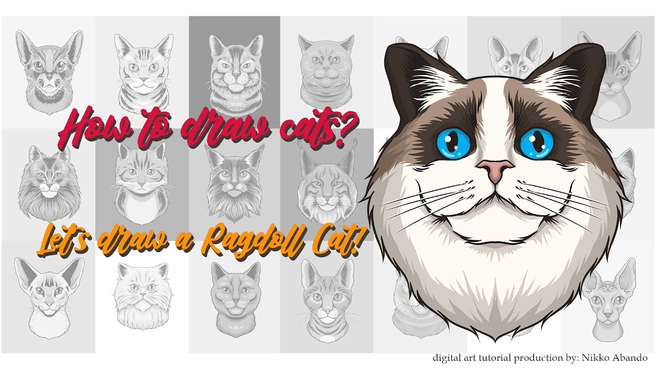 How To Draw a Cat ( Ragdoll Cat ) Digital Art - YouTube