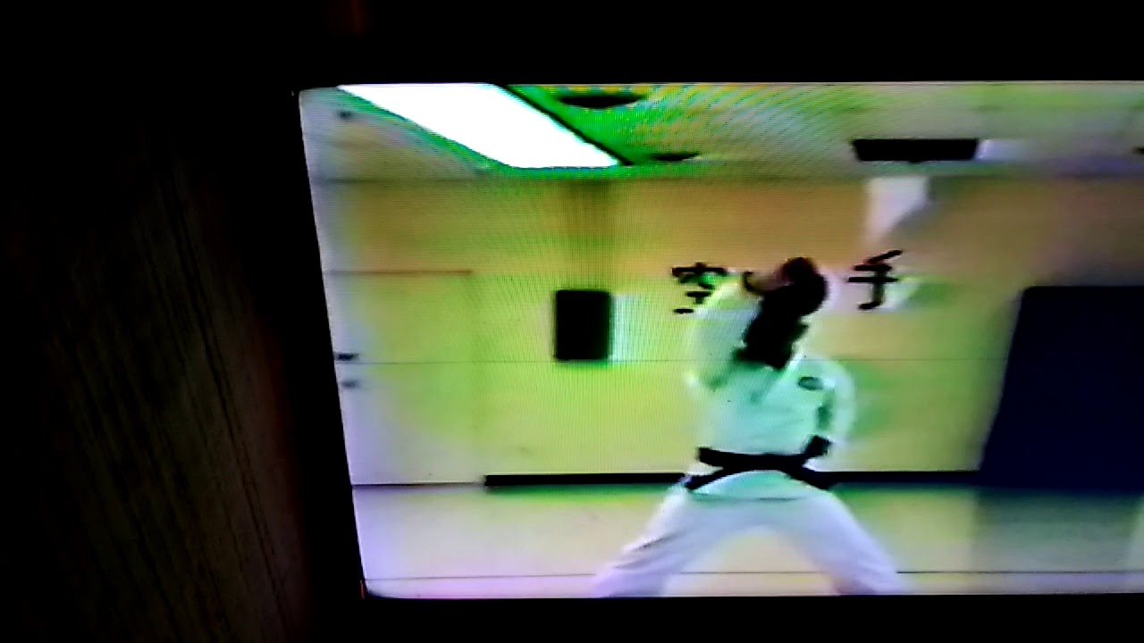 video 103 how to do Okinawa Kenpo step # 2. Punches and Blocks. - YouTube