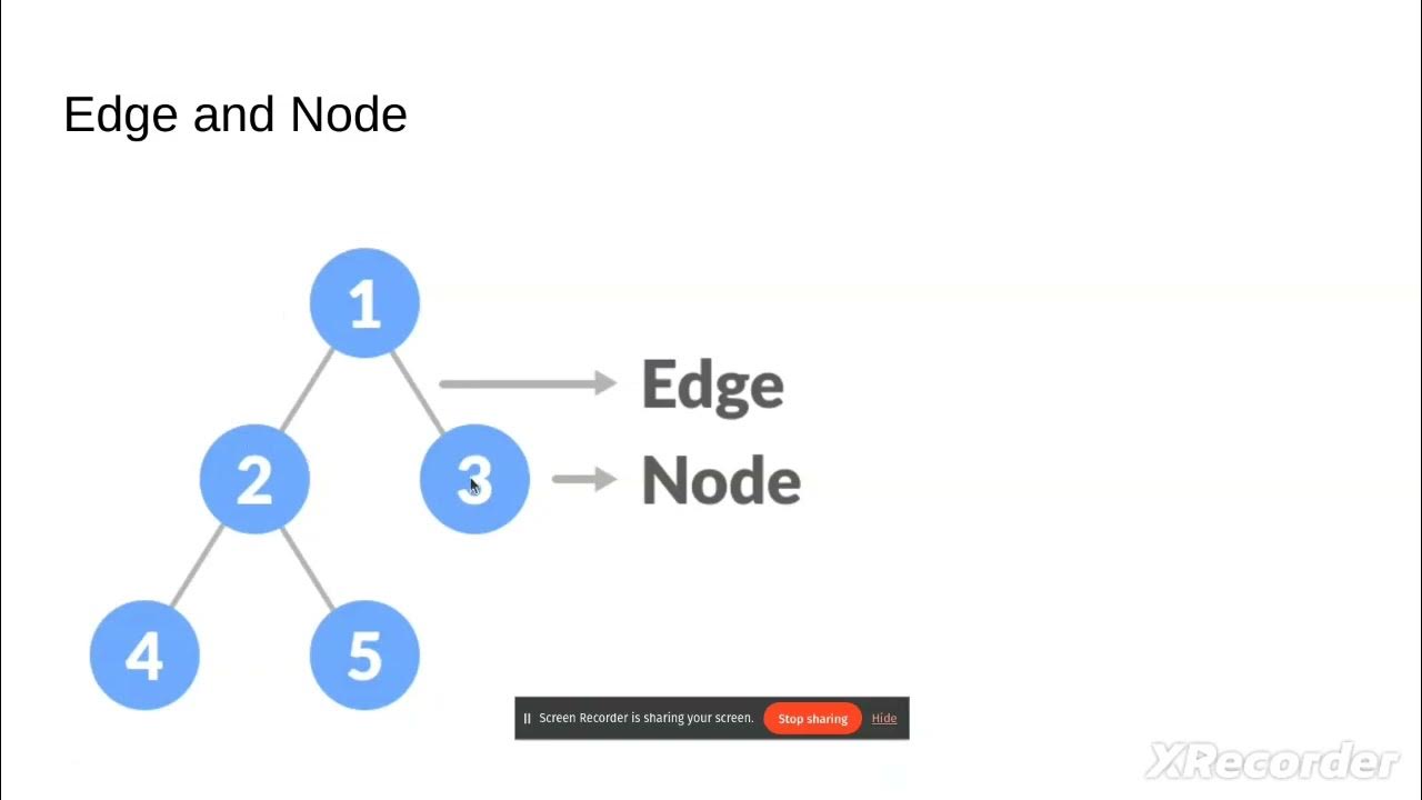 Data Structure | C# Tree Terminologies and Types of Tree - YouTube