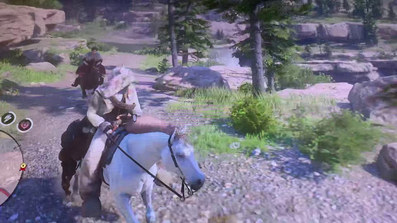 Rdr2 the twin’s Helen is a dumb a$$ red dead redemption 2 funny fail ...