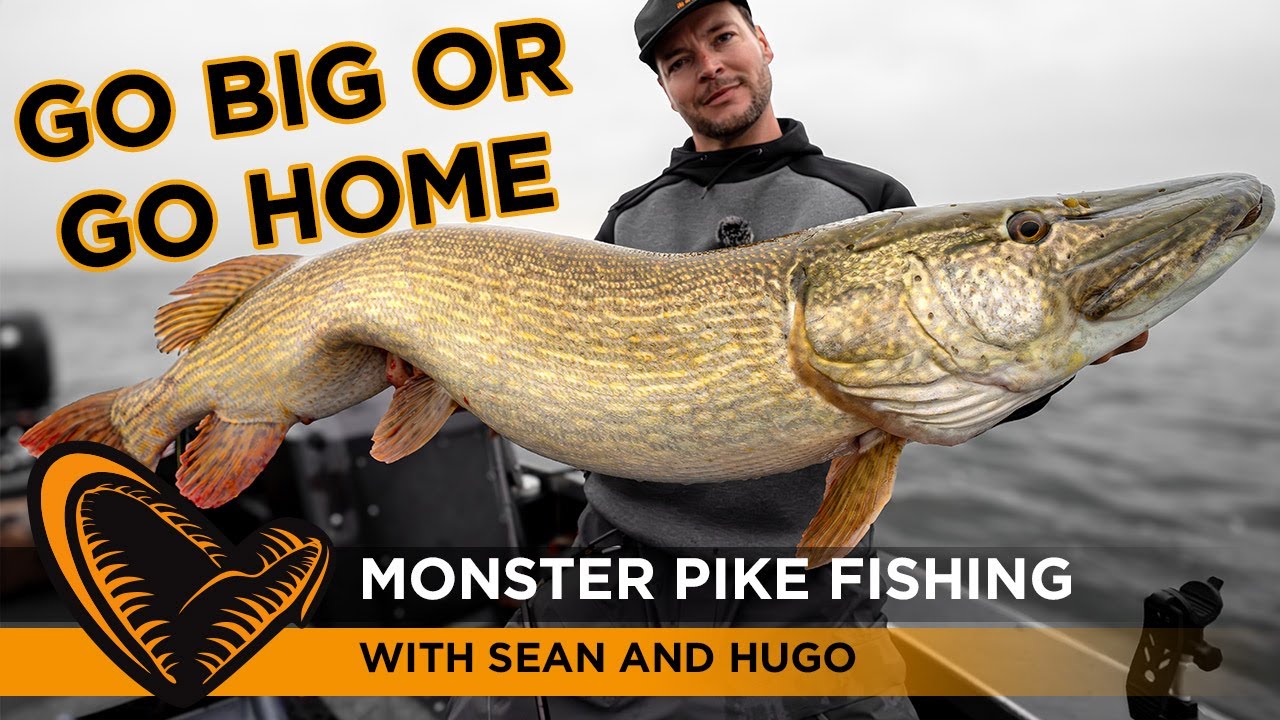 Monster Pike Fishing with Hugo and Sean - Casting huge baits - YouTube