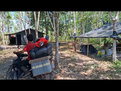 Bertahan HiDUP Di KEBUN, Melihat adik sepupu beli kasur & ulekan cobek, KEDATANGAN TAMU DARI JAUH...