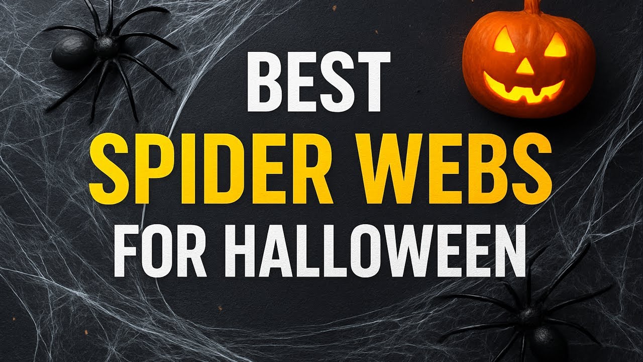 Best Spider Webs for Halloween Decorations with Fake Spiders 2025 - YouTube