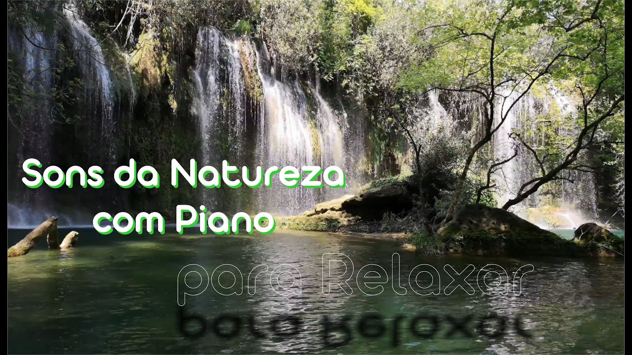 Sons Da Natureza Com Música Relaxante De Piano - Música Para Relaxar E ...