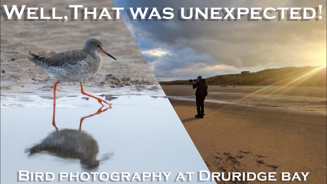 An unexpected AMAZING Bird Photography session - YouTube