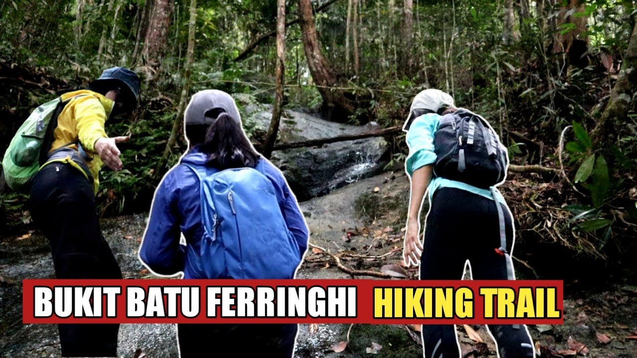 Bukit Batu Ferringhi Hiking Trail, Penang Malaysia - YouTube