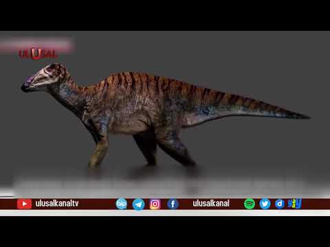 Yeni dinozor türü keşfedildi