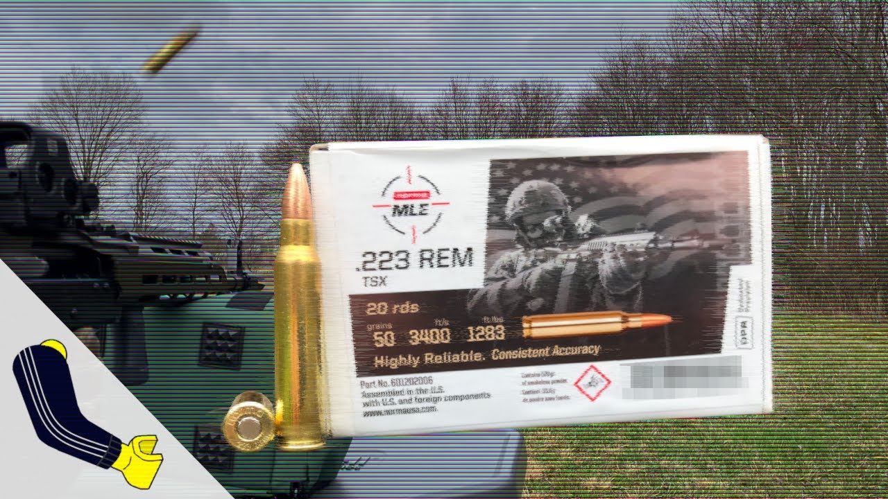 Norma MLE .223 Remington 50gr. Barnes TSX//Velocity Test - YouTube