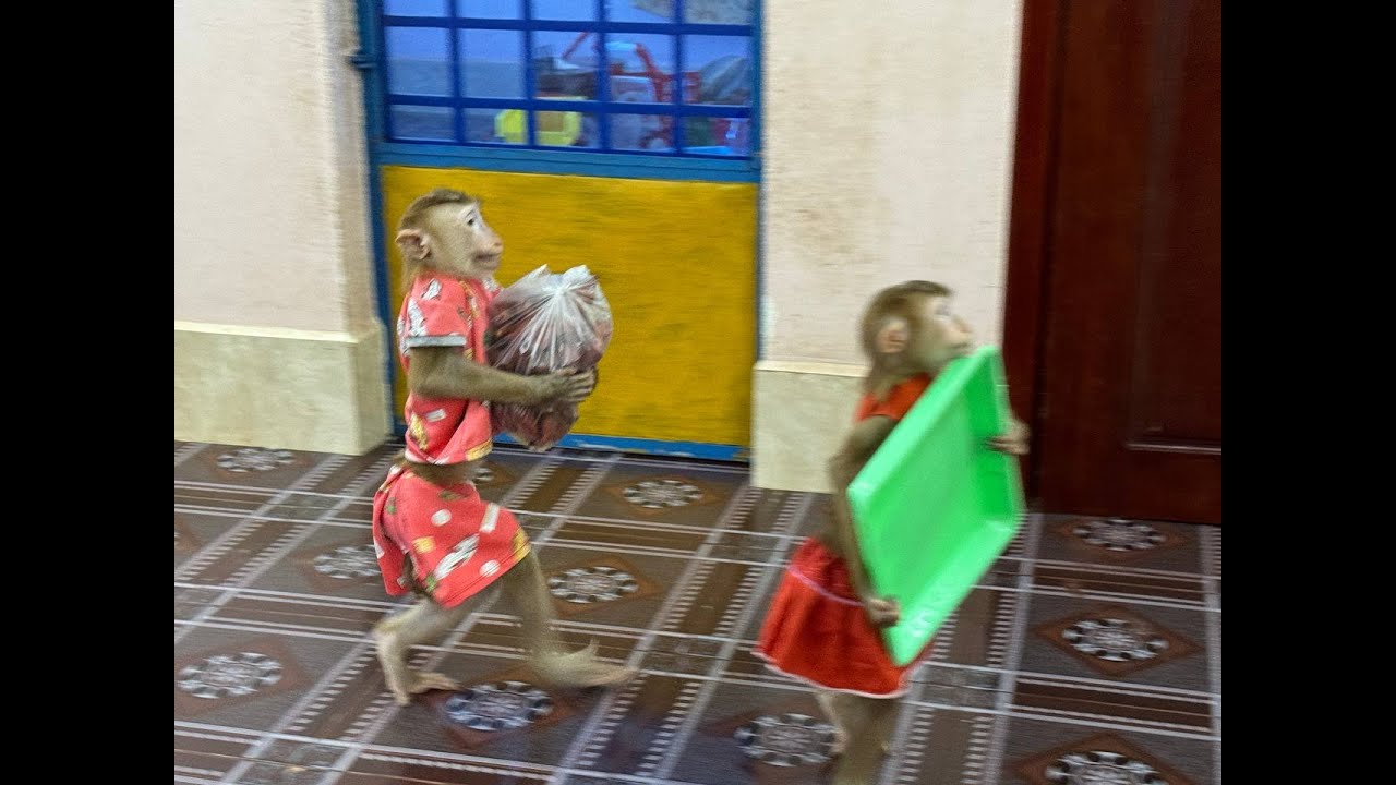 Sovan & Sovanny Walk To Take Salak Fruit To Eat Together With Mom Very ...