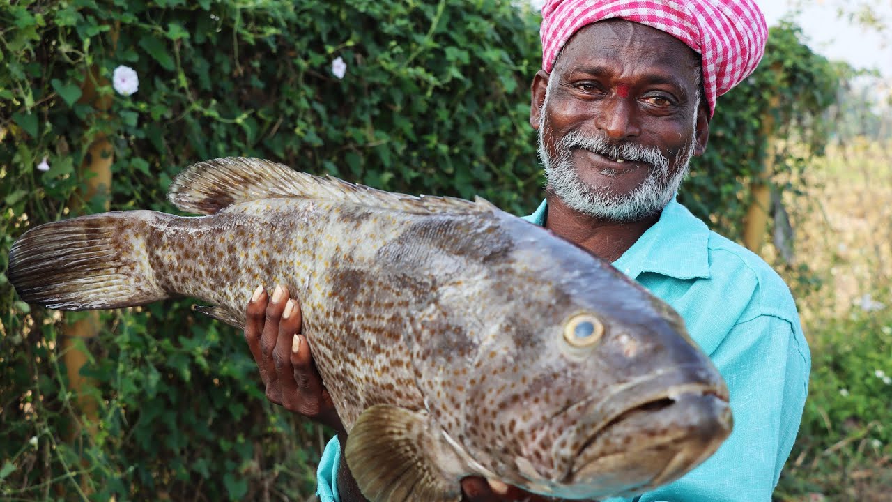 10kg Amazing Hamour Fish Recipe || Hamour Fish Curry || Ranganayakamma ...