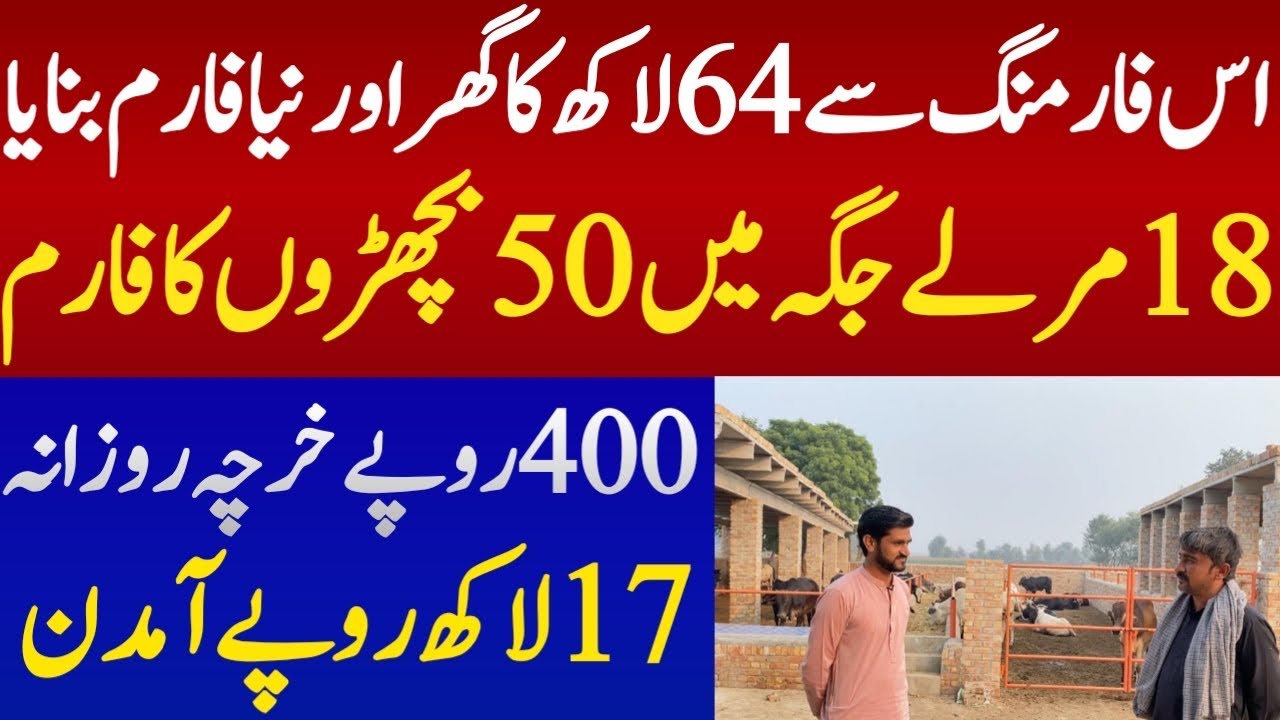 Small bachra farming in pakistan 🇵🇰 - YouTube