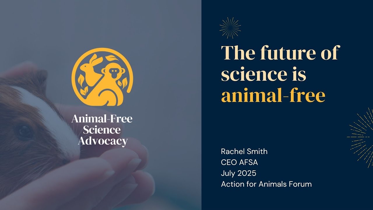 The future of science is animal-free – Animal-Free Science Advocacy ...