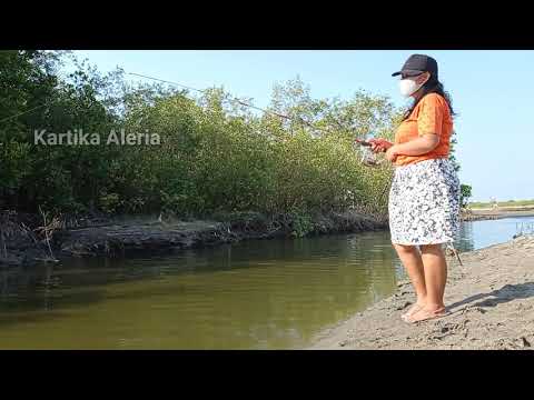 MANCING AMBYAR ~  FISHING MANIA ~  MANCING MANIA - Mancing Di Sungai Muara