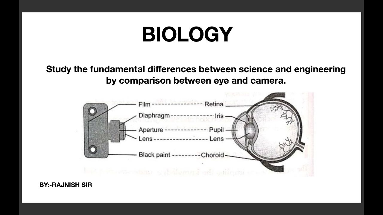 COMPARISON BETWEEN EYE AND CAMERA | BIOLOGY FOR ENGINEERS - YouTube