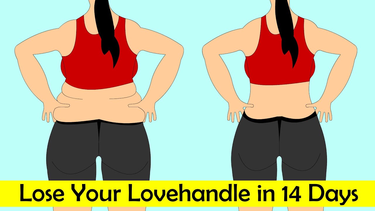 Burn your love handles in 14 days men and women equipment no needed ...