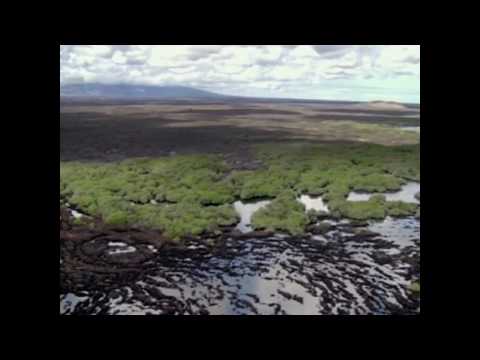 Raghse Irani(new persian music) 2010