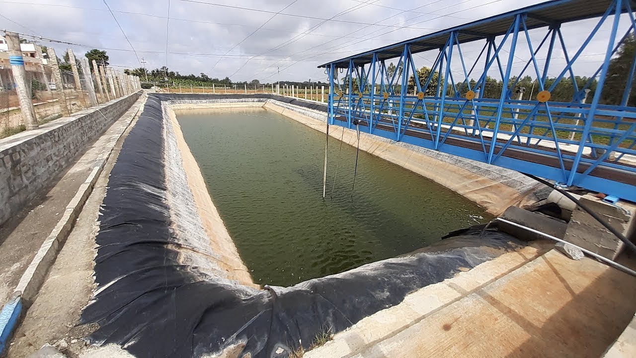 Mega Rainwater Harvesting for Fish Farming & Farm | Fish Pond ...