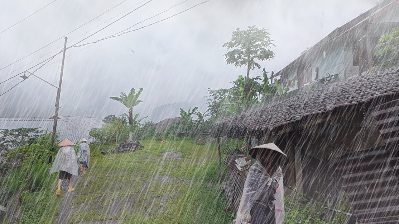 Extreme Heavy Rain hit Indonesian Mountain Villages | Walking in the Rain | Rain Sounds for ...
