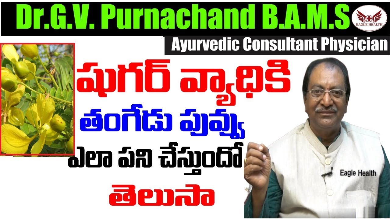 షుగర్ వ్యాధికి తంగేడు పువ్వు ఎలా పని చేస్తుందో తెలుసా | Tangedu Puvvu ...