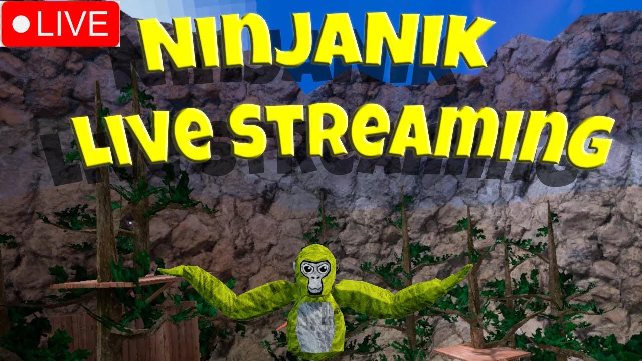 Playing Gtag - YouTube