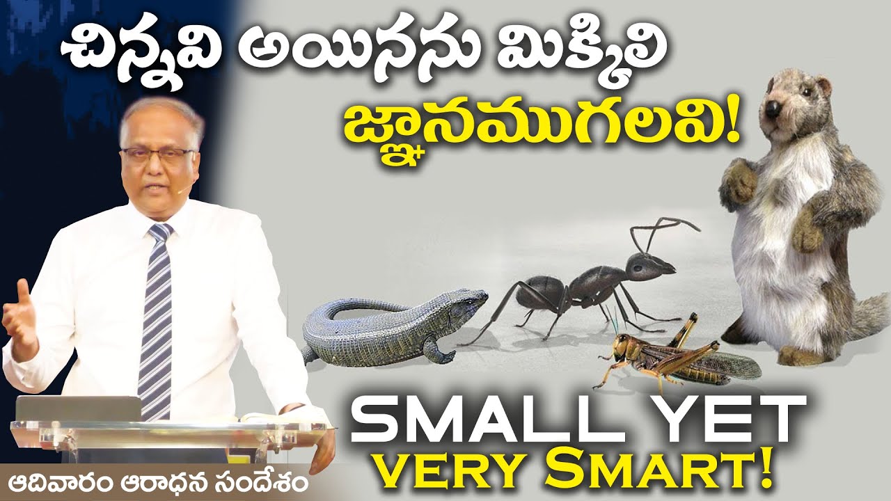 25/02/24 - SUNDAY SERVICE MESSAGE - Small yet very Smart! I Bro. P ...