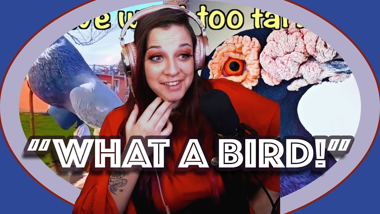 *I didn't know half of this!* How Humanity Gave This Animal the Middle ...