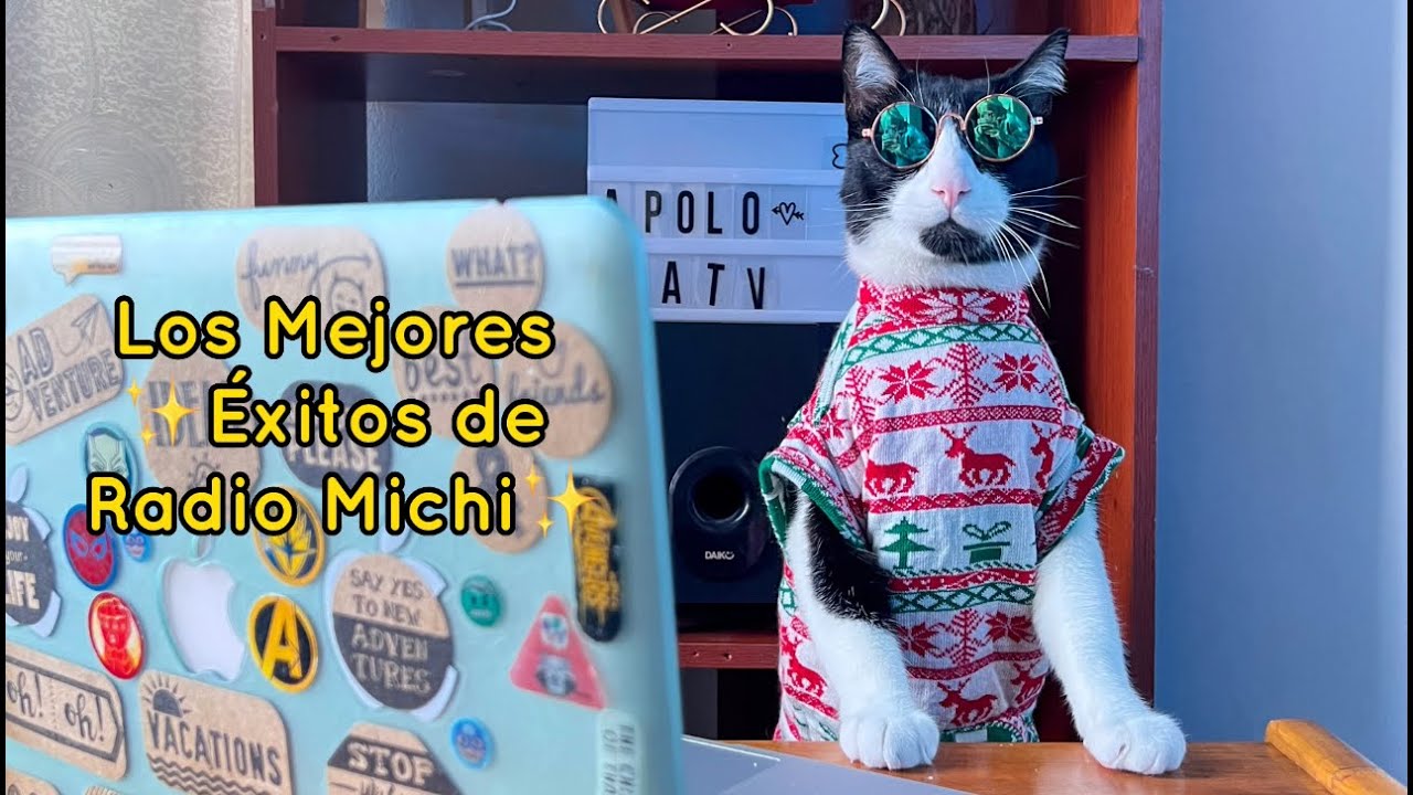 Los Mejores Éxitos y Clásicos de Radio Michi! 👑 - YouTube