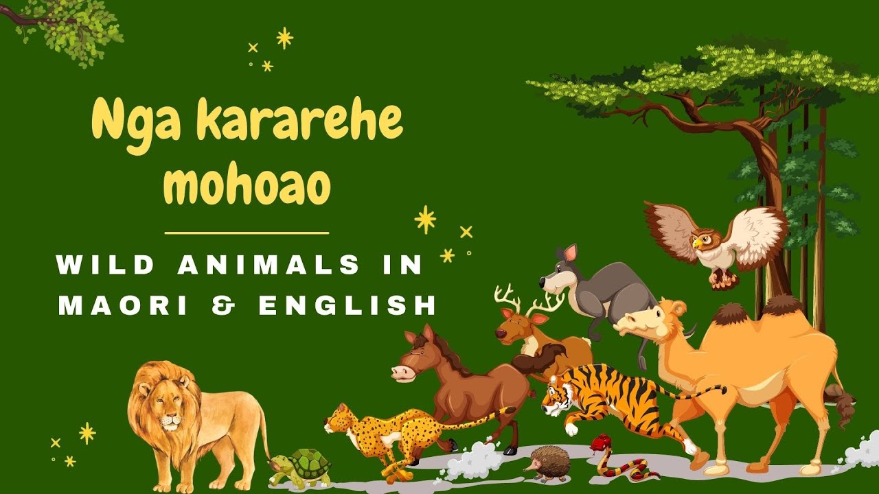 Nga kararehe mohoao - Wild Animals in Maori & English - YouTube
