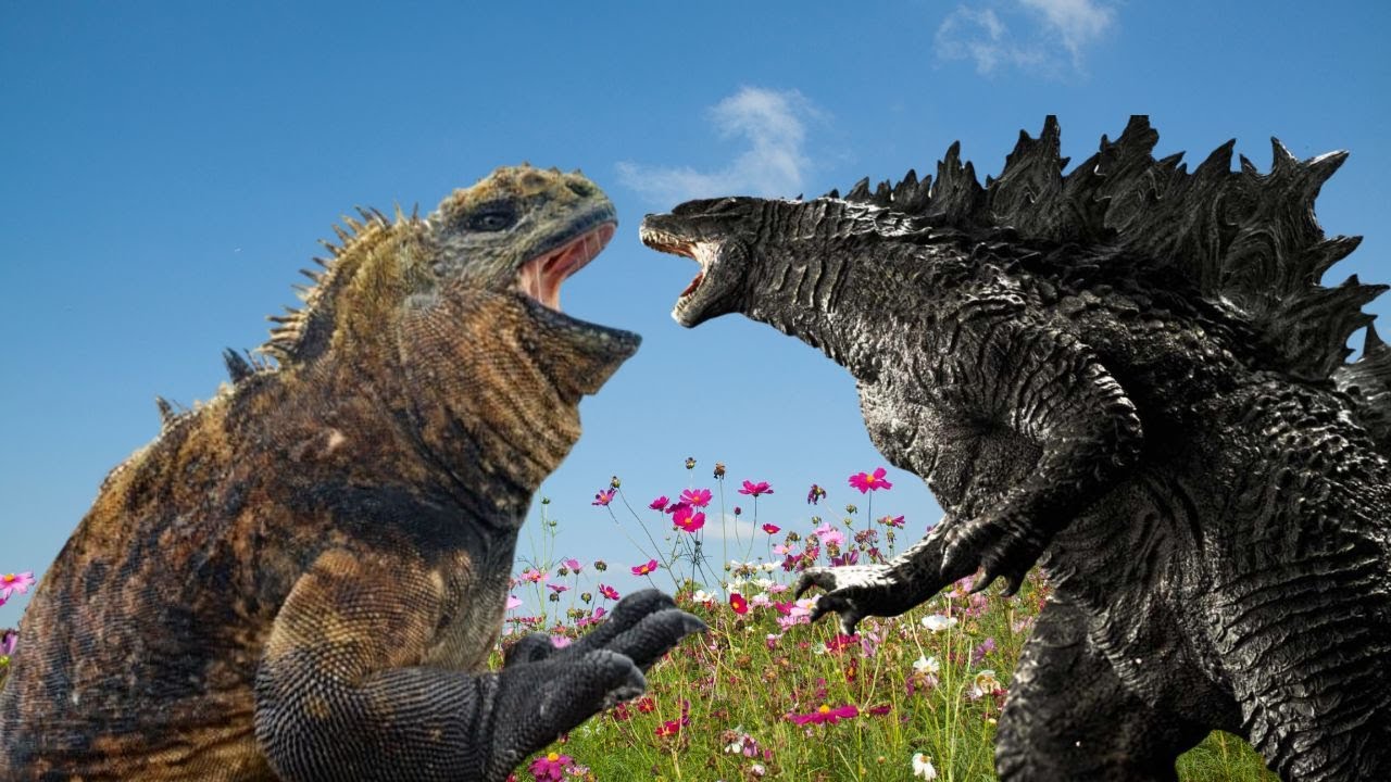 Marine Iguana : Living Godzilla | Facts About Marine Iquana - YouTube