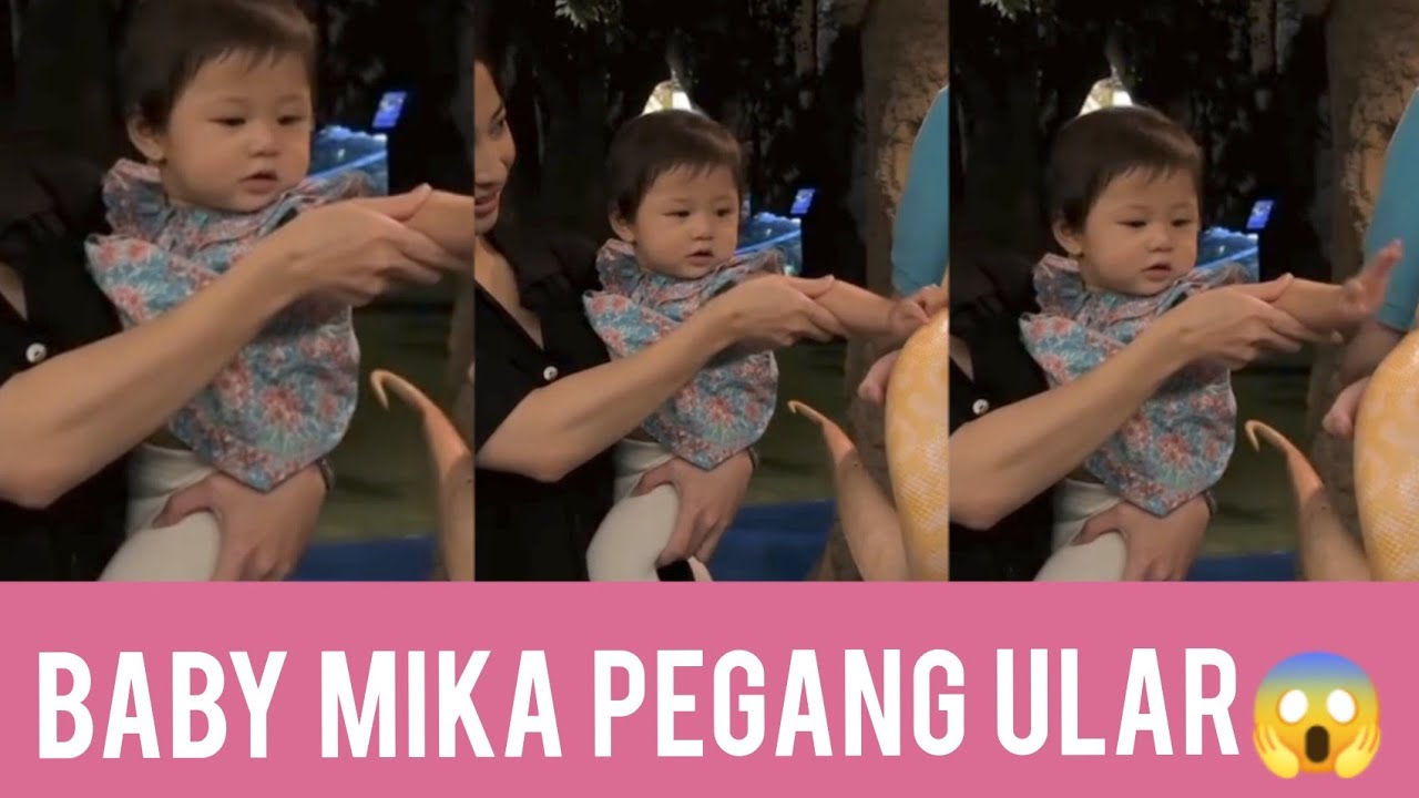 baby mika pegang ular 😱 - YouTube