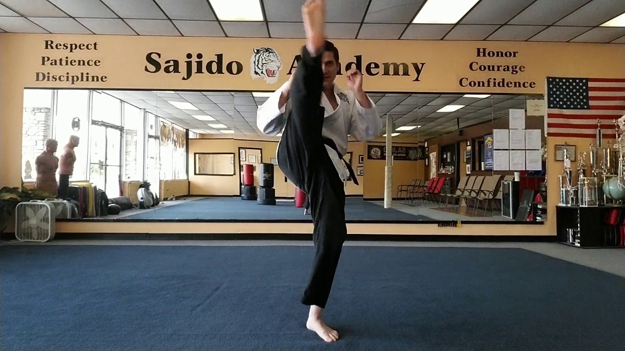SAJIDO Martial Arts DIGITAL Class Day Three. Part One. - YouTube