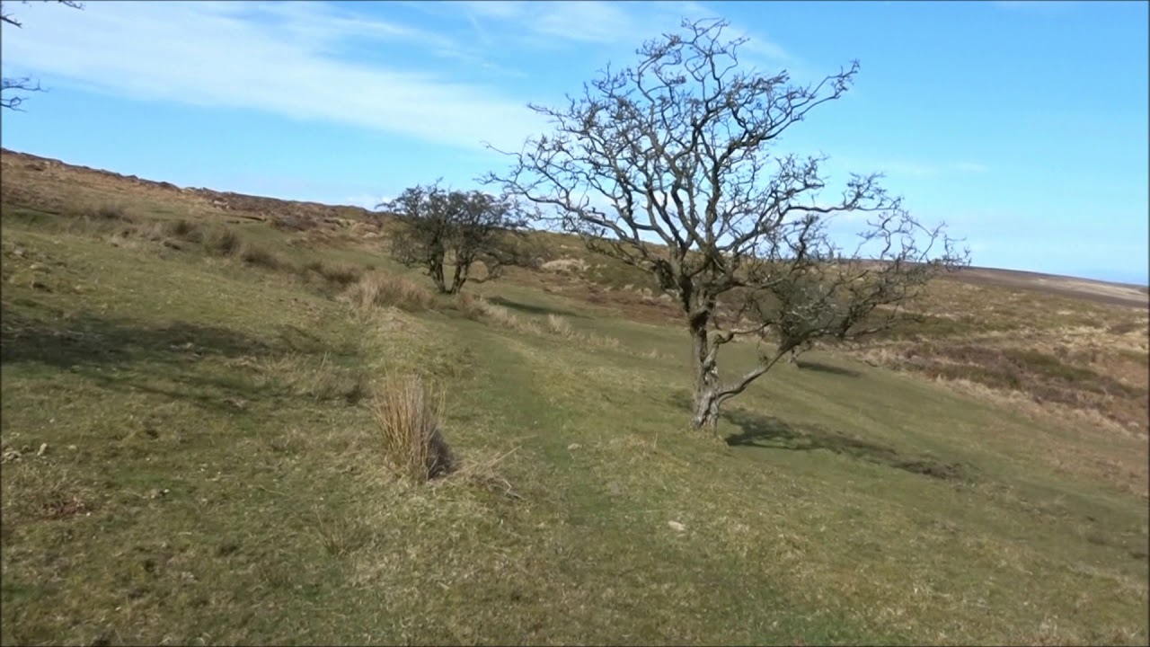Edited, Holford Glen Visit, PART V, 'Up High Near Bicknoller Post' by ...