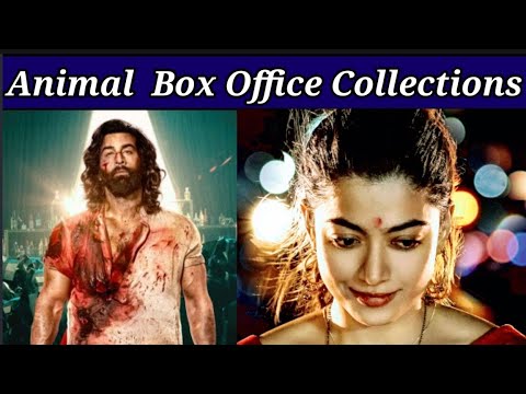 Animal Box Office Collections, Animal Worldwide & Indian Box Office ...