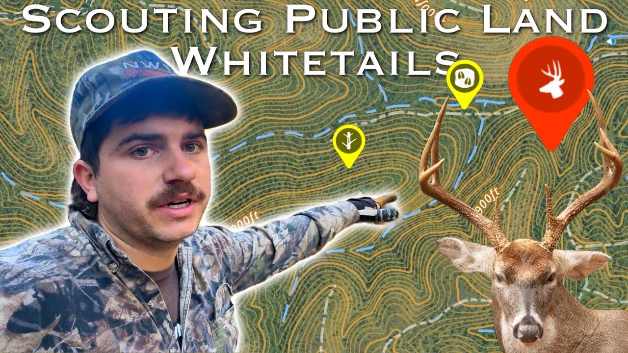 DEER SCOUTING! - Buck Sign Everywhere! - YouTube