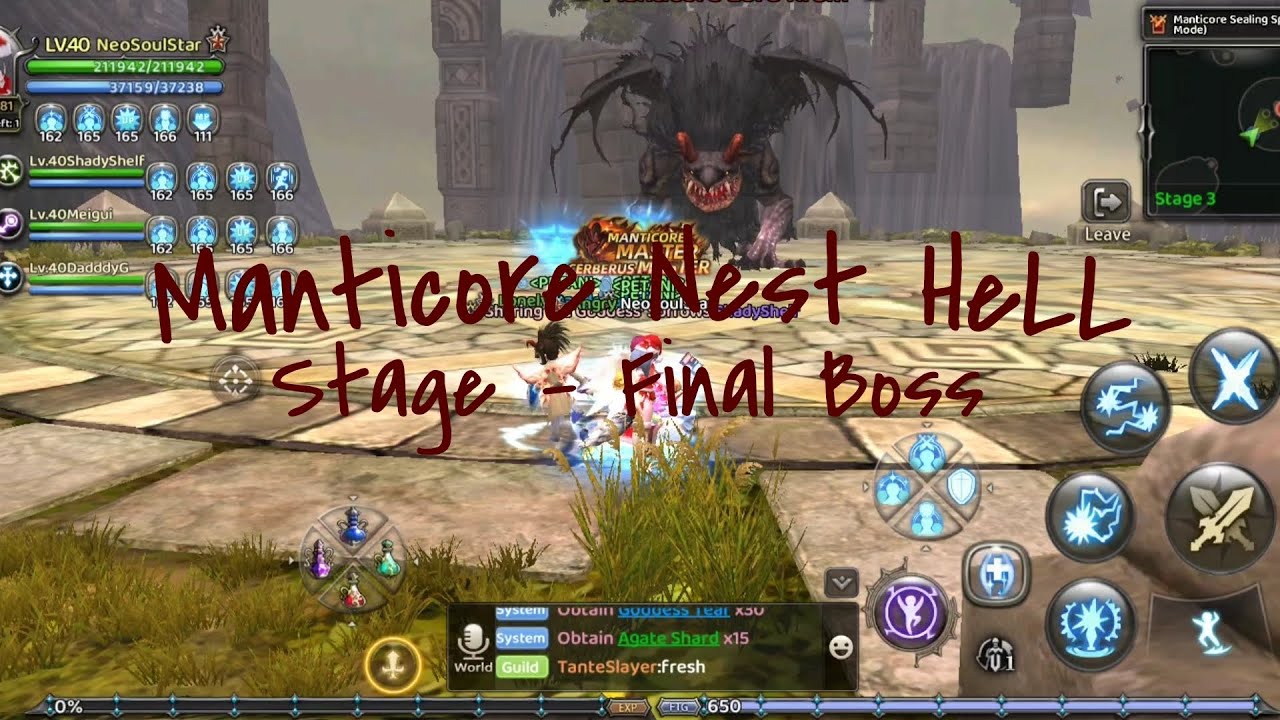 DN ROL - Manticore Nest Hell Mode Stage Final Boss (Priest DPS POV ...