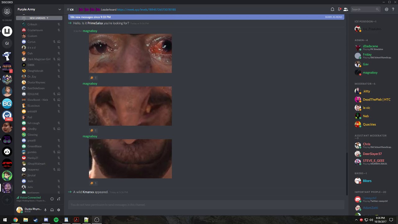 Ice Poseidon discord - YouTube