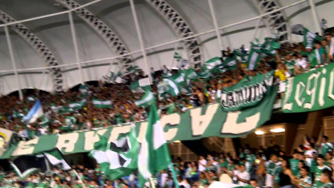 Frente Radical Verdiblanco 2013 - Dale dale dale verde - YouTube