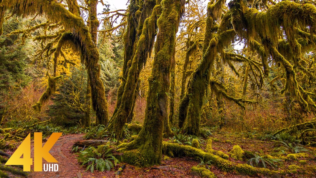 Most Beautiful Places in America - 4K Amazing Nature | 6 HOURS ...